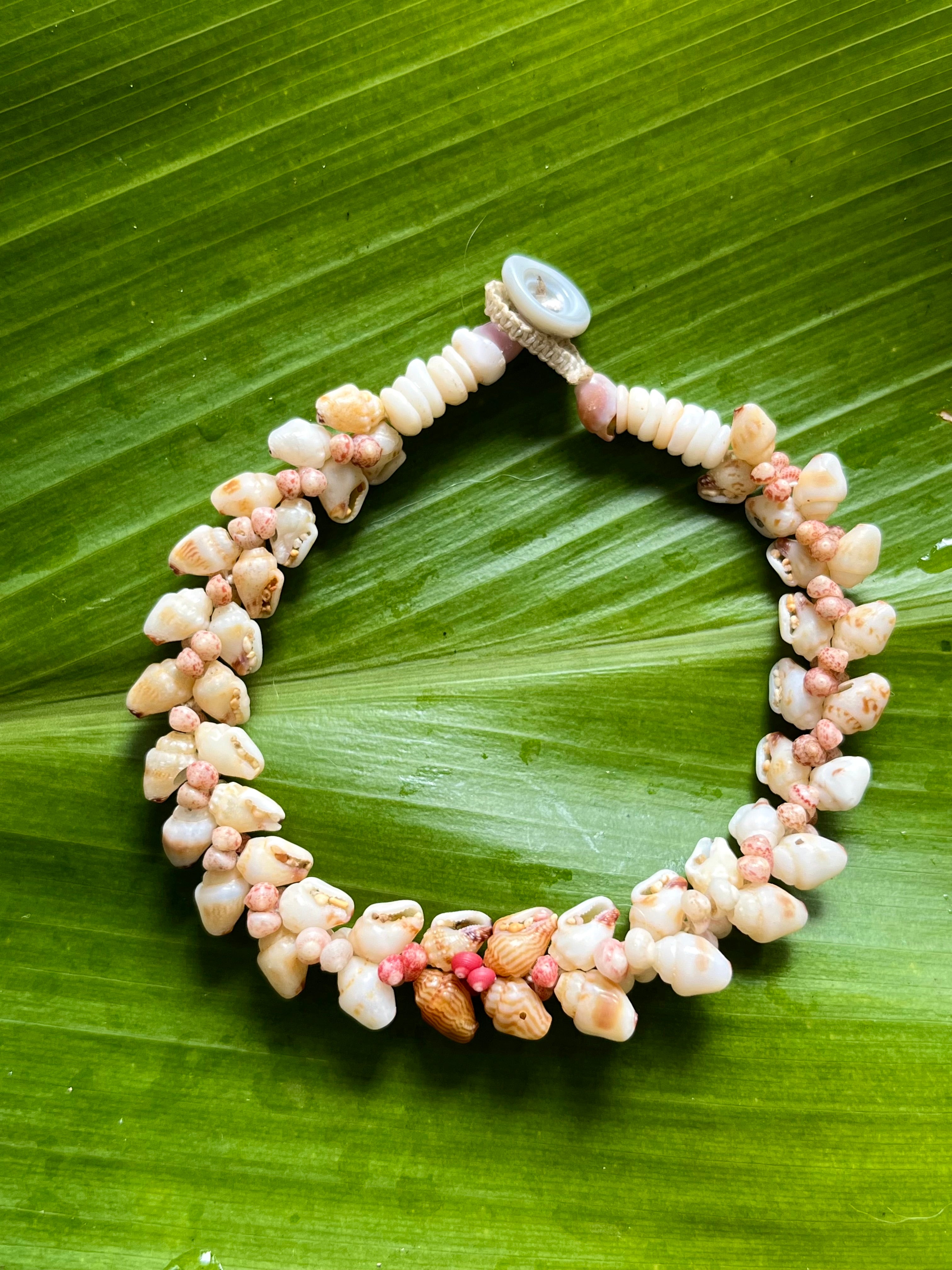 Bracelets – Shells of Kauai
