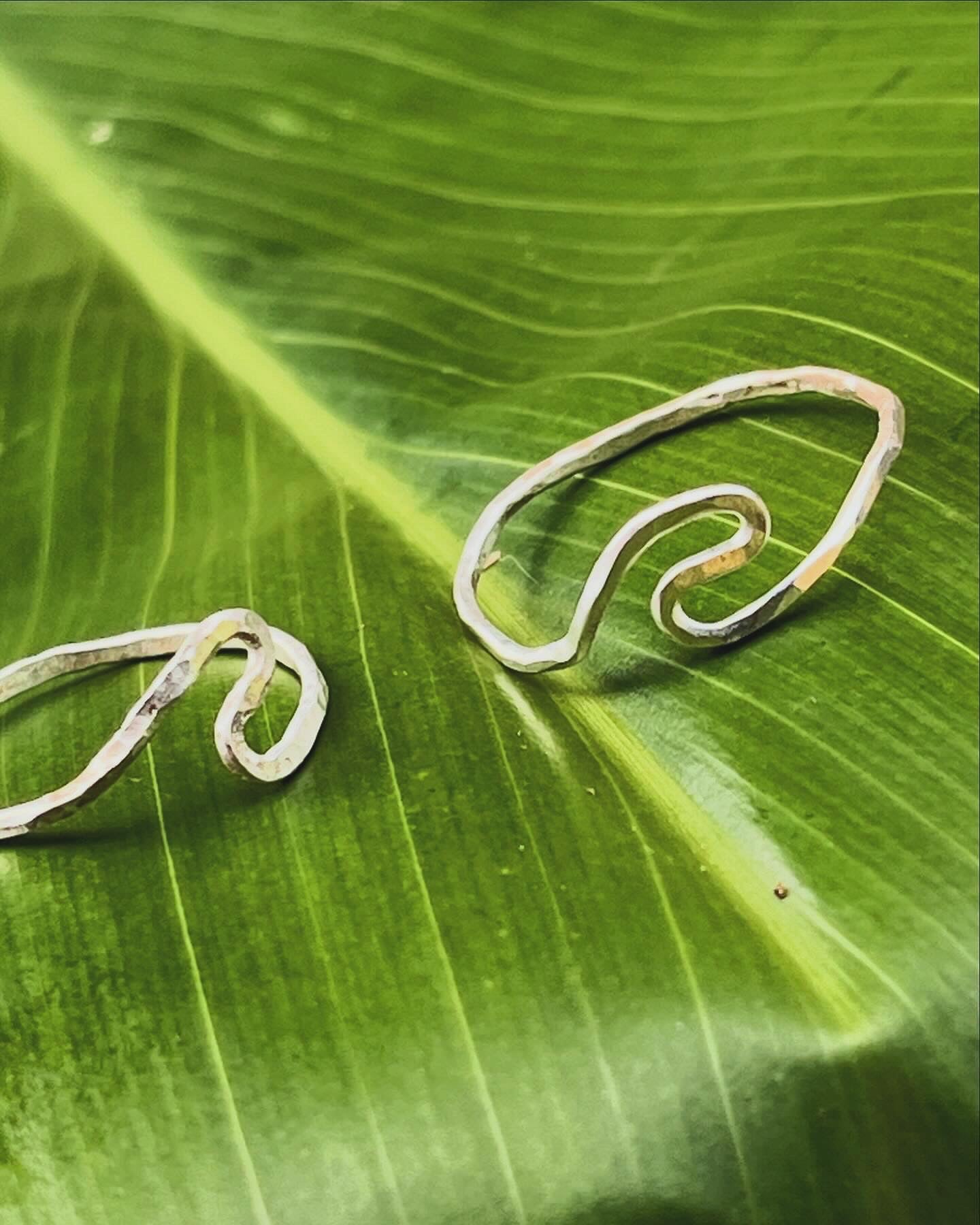 Rings – Shells of Kauai